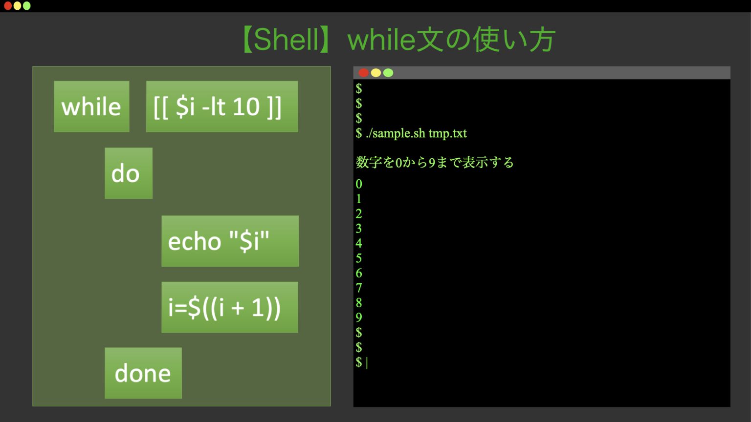 【Shell】while文：基本的な使い方と「continue」・「break」の使い方 / え〜のう